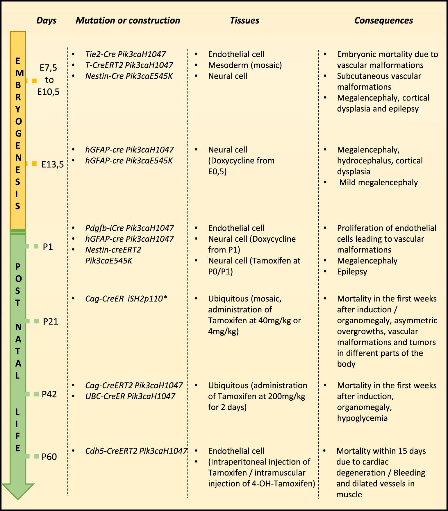 PIK3CA related Overgrowth Spectrum Animal Model And Drug Discovery