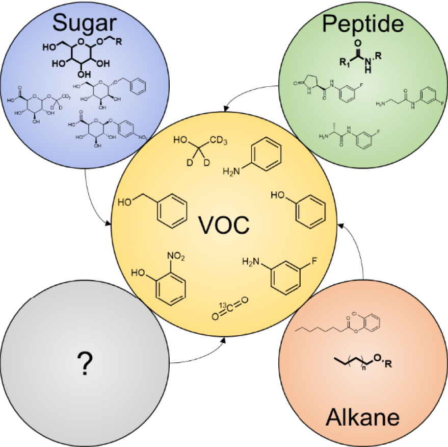 Induced-volatolomics, a new research field in chemical biology